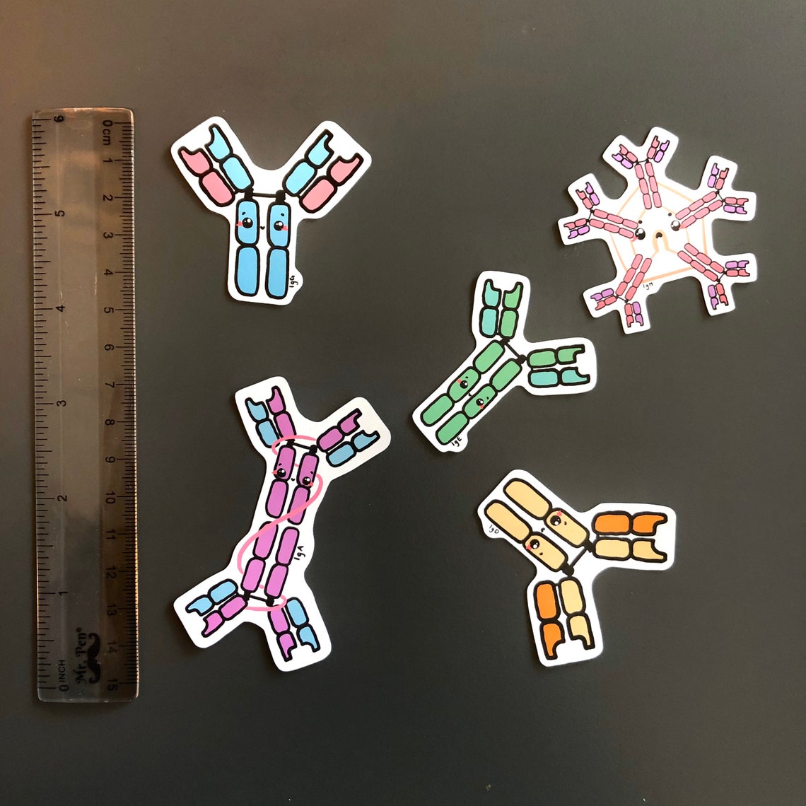 Cute Antibodies and Immune Cells Sticker Set | Etsy