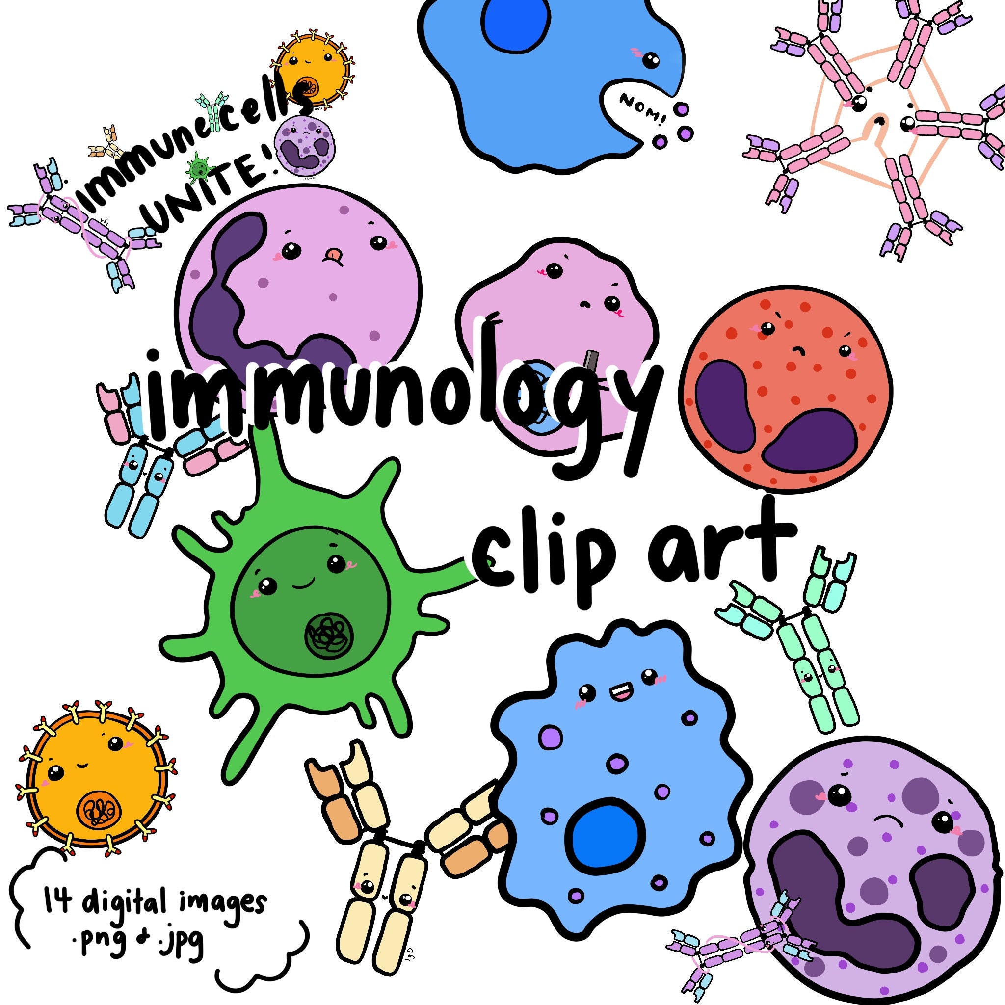 Immune System Clipart