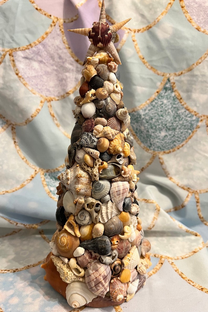 Seashell Tree, Sea Shell Tree, Shell Tree Display - Etsy