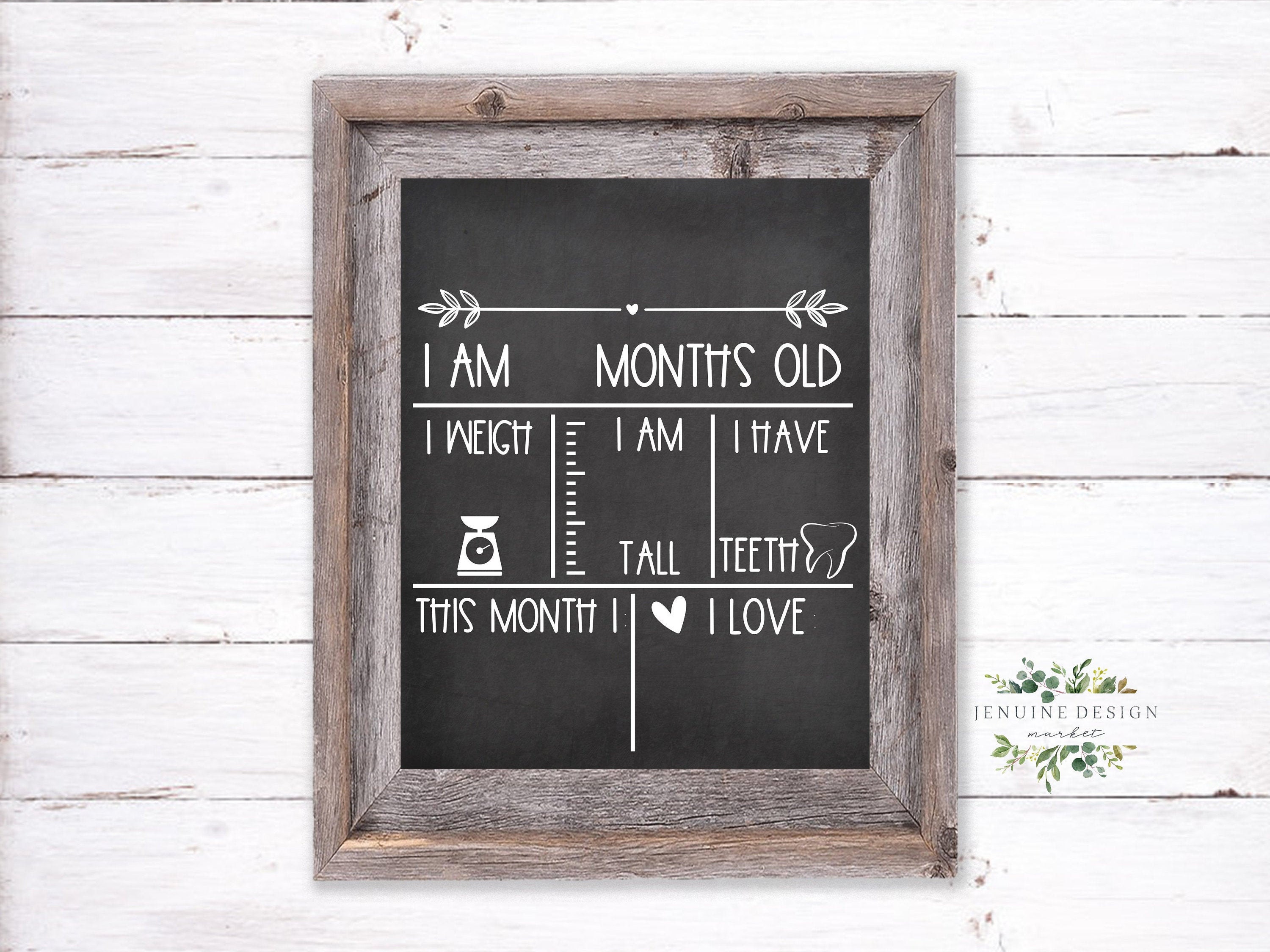 Monthly Milestone Sign | Baby Stats Template | Baby Milestone SVG - Etsy