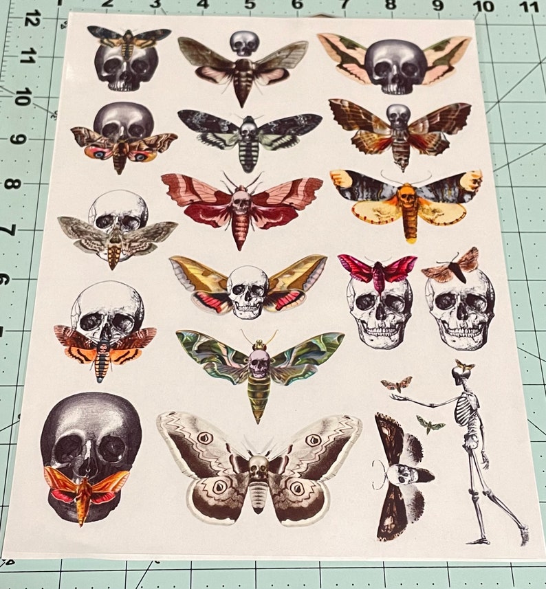 Moth Skulls Resin Inserts in Color Colored Resin Inserts - Etsy