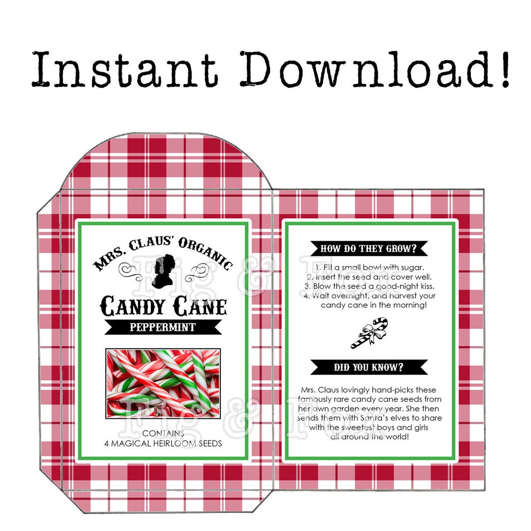 Printable Elf Props Candy Cane Seed Packet - Etsy