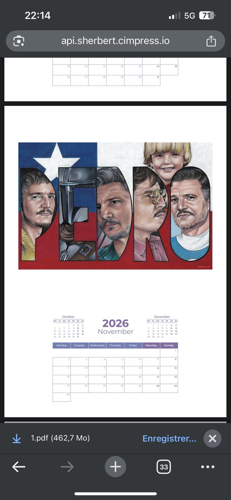 2026 Calendar Pedro Pascal - Etsy