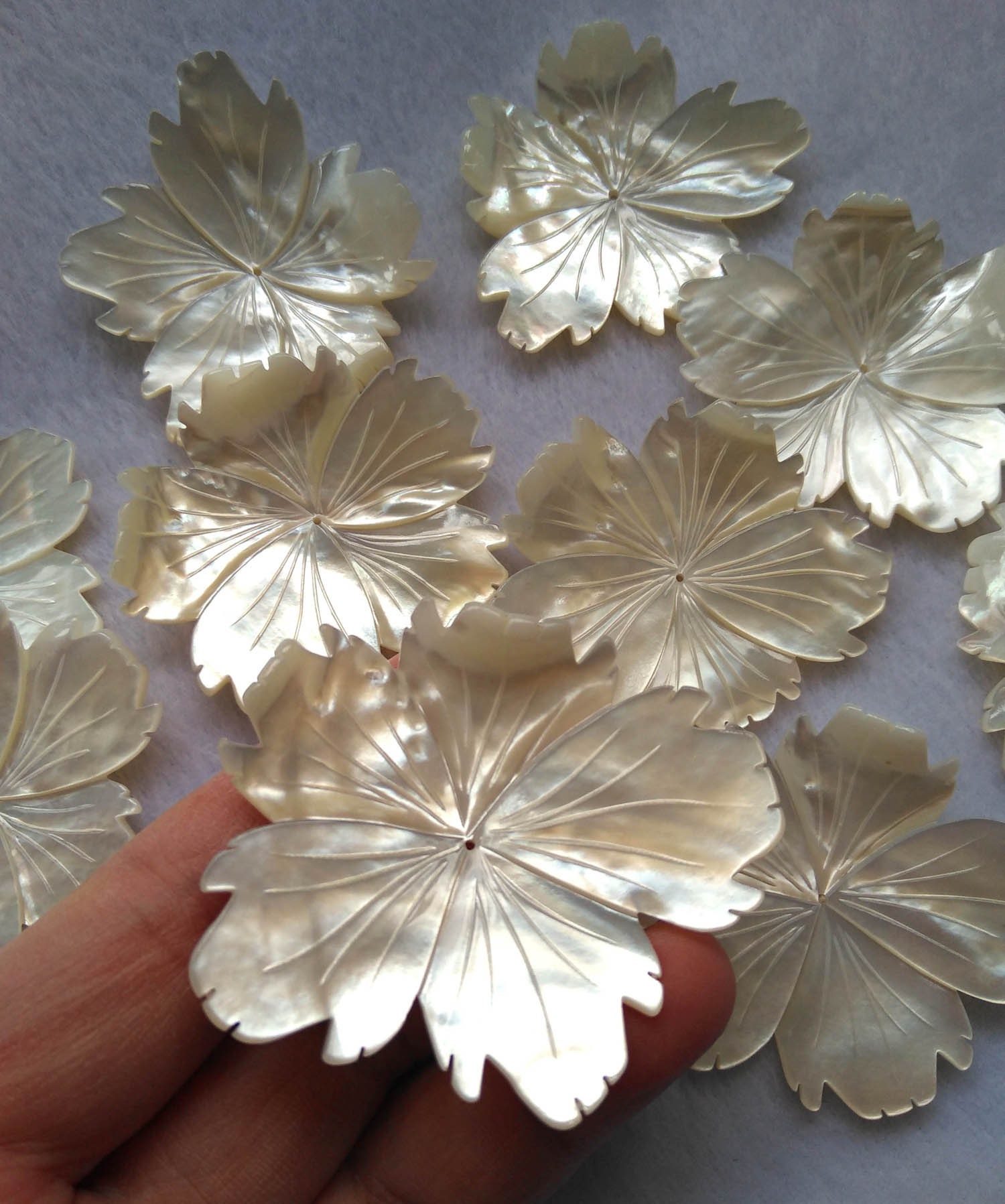 Drilled10pcs Large Genuine Pearl Shell Mother of Pearl 5 - Etsy