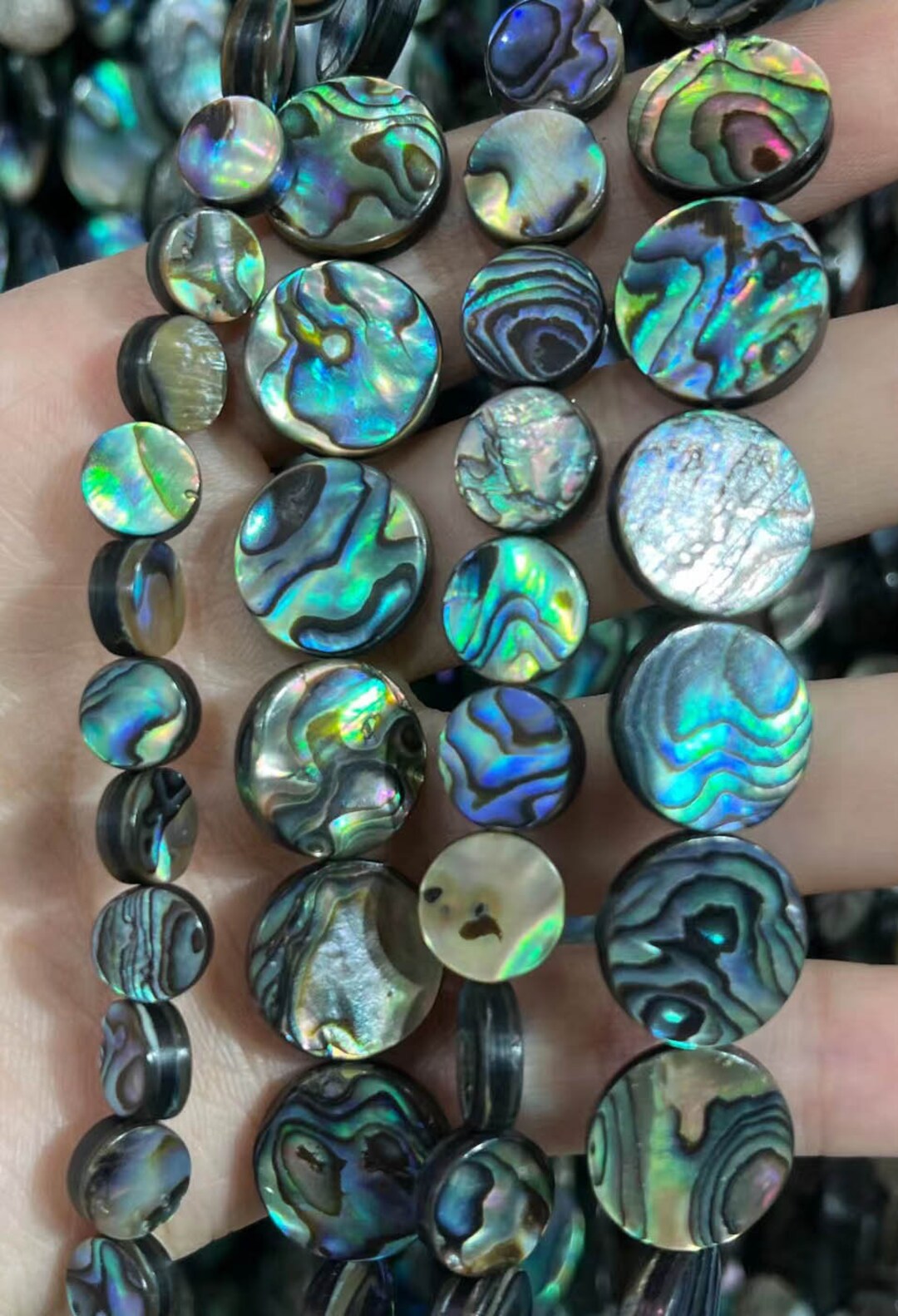 Full 16inch Genuine Pura Abalone Shell Jewelry Coin Disc Roundel ...