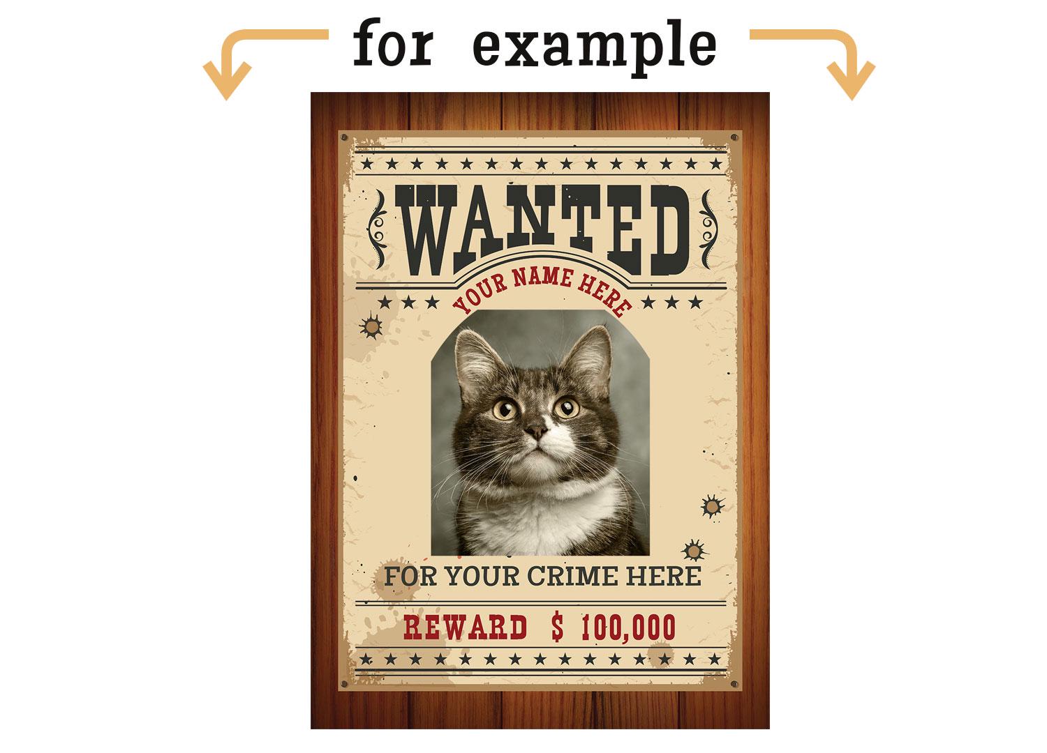 Personalized Wanted Poster JPG, PNG A4 Format 8,5x11 Inch, Custom Order ...