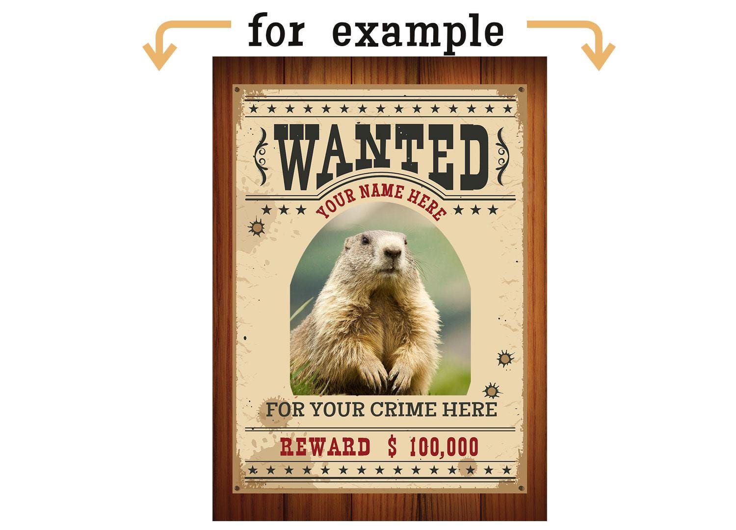 Personalized Wanted Poster JPG, PNG A4 Format 8,5x11 Inch, Custom Order ...