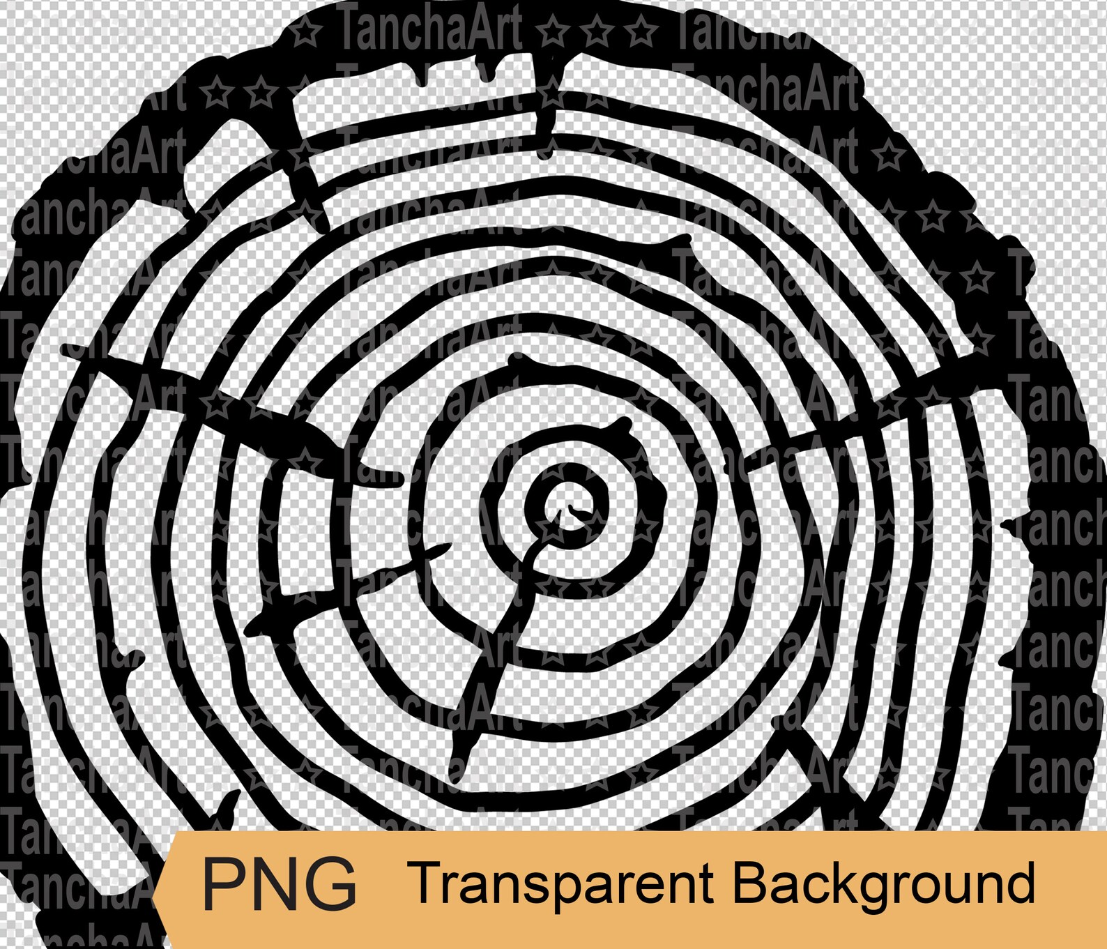 Tree Rings SVG Cutting Files for Cricut Bundle Clip Art Wood - Etsy