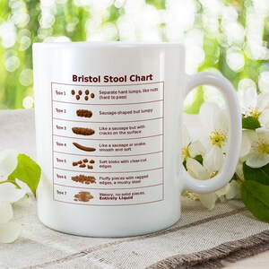 Bristol Stool Chart - Poo Scale Funny Nurse Gift Mug - Etsy