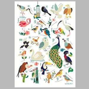 Birds Alphabet Art Print, Instant Download, 4 Sizes, Decorative ...
