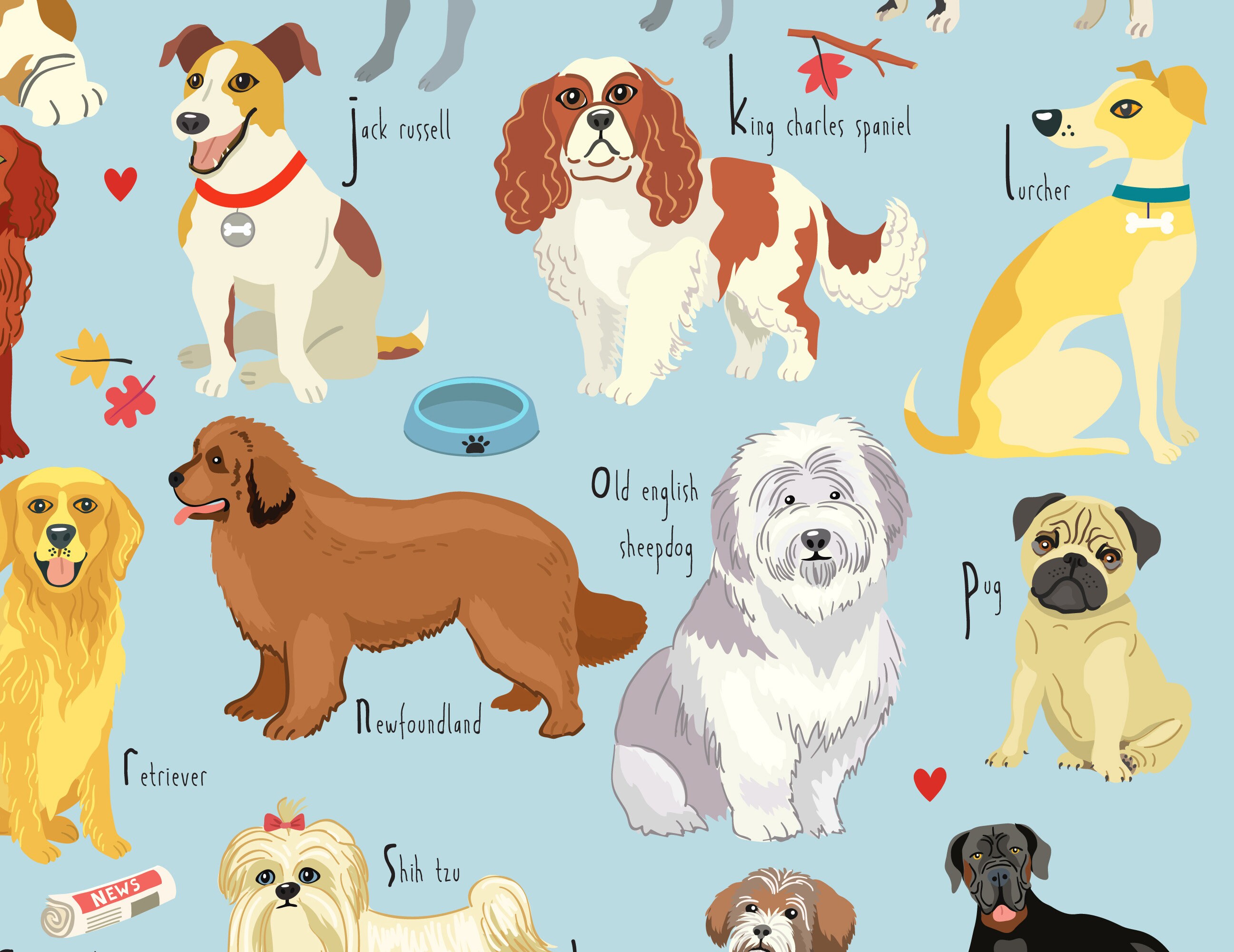 Dog Breed Alphabet Art Print: A3 Illustrated Wall Decor - Etsy