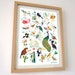 Birds Alphabet Art Print Instant Download 4 Sizes - Etsy