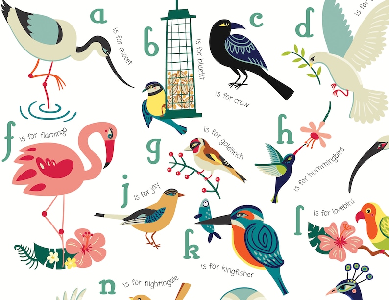 Birds alphabet art print instant download 4 sizes | Etsy