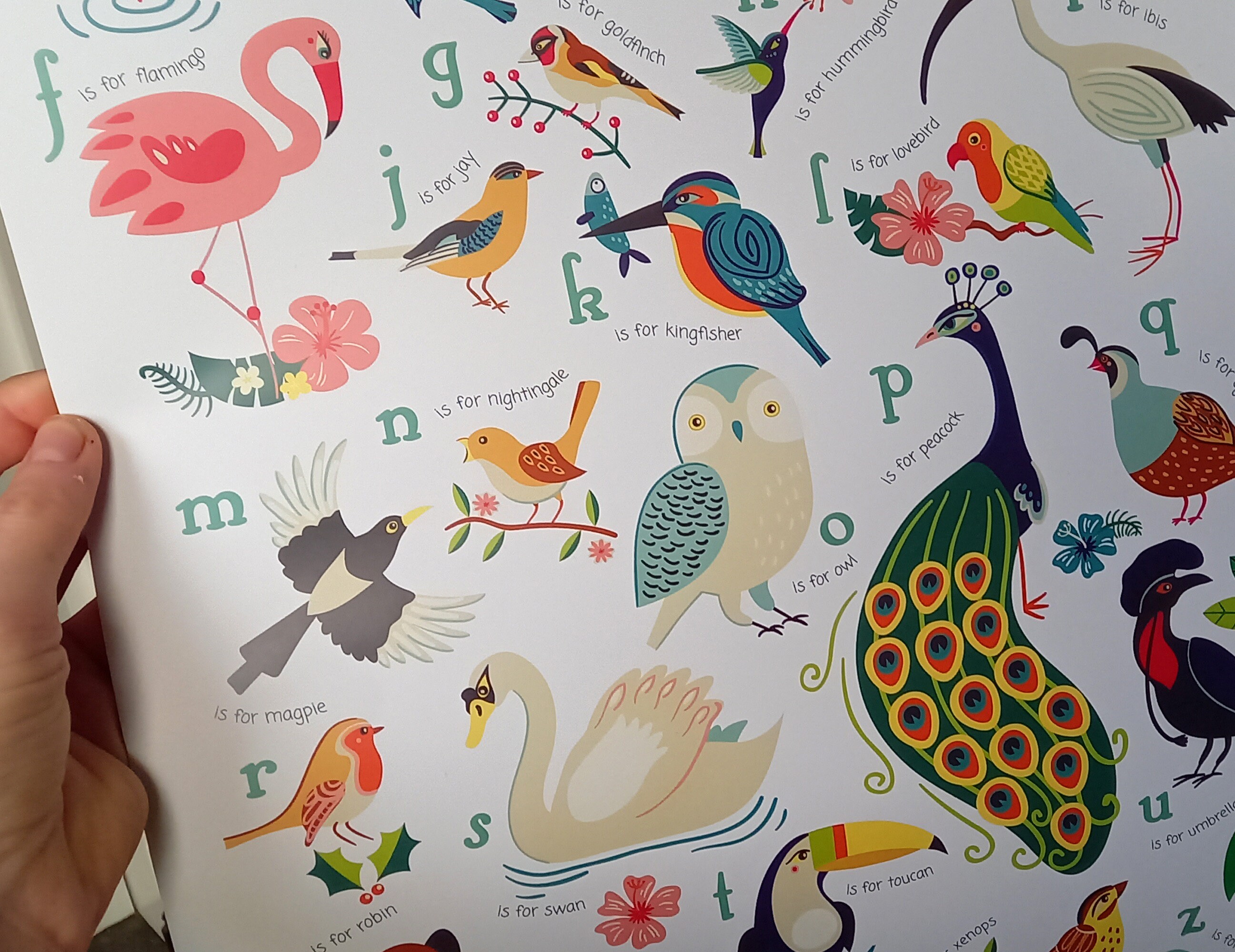 Birds alphabet art print instant download 4 sizes | Etsy