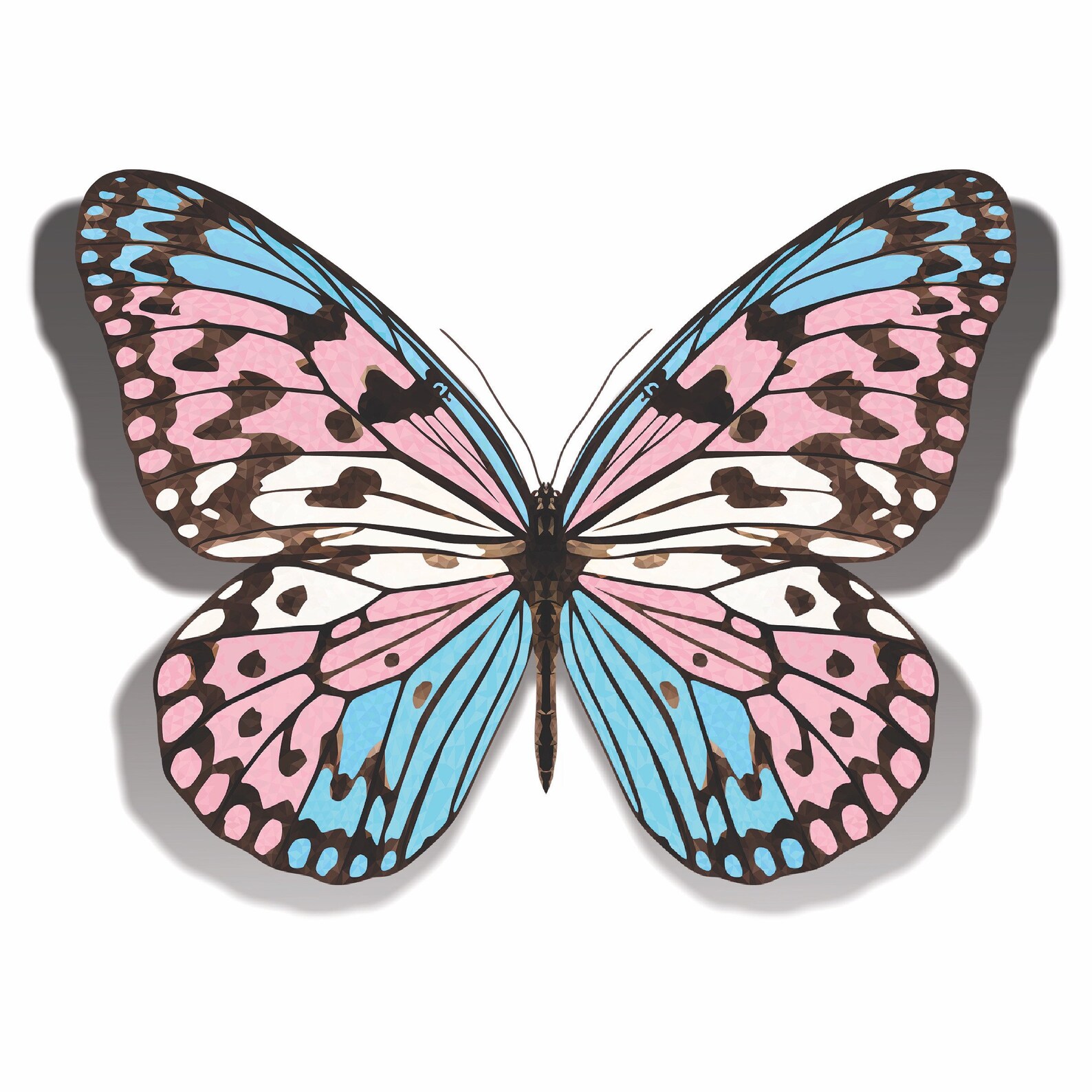 Trans Pride Butterfly Print - Etsy UK