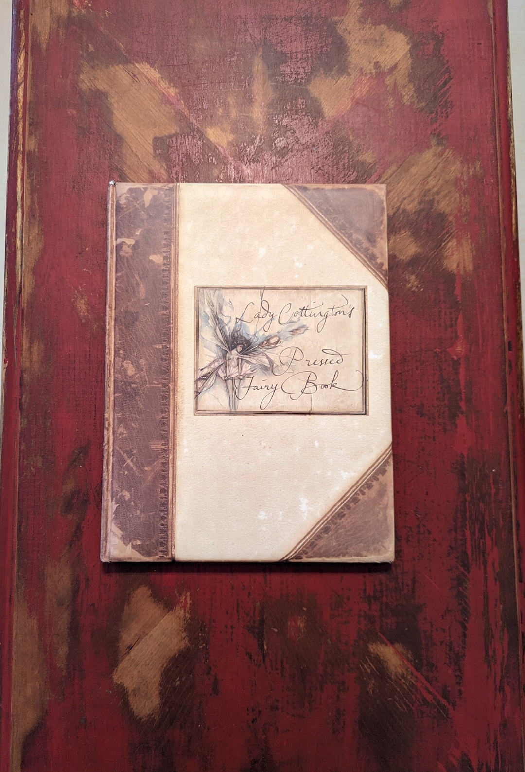 SP Lady Cottington's Pressed Fairy Book by Terry Jones Illustrator ...