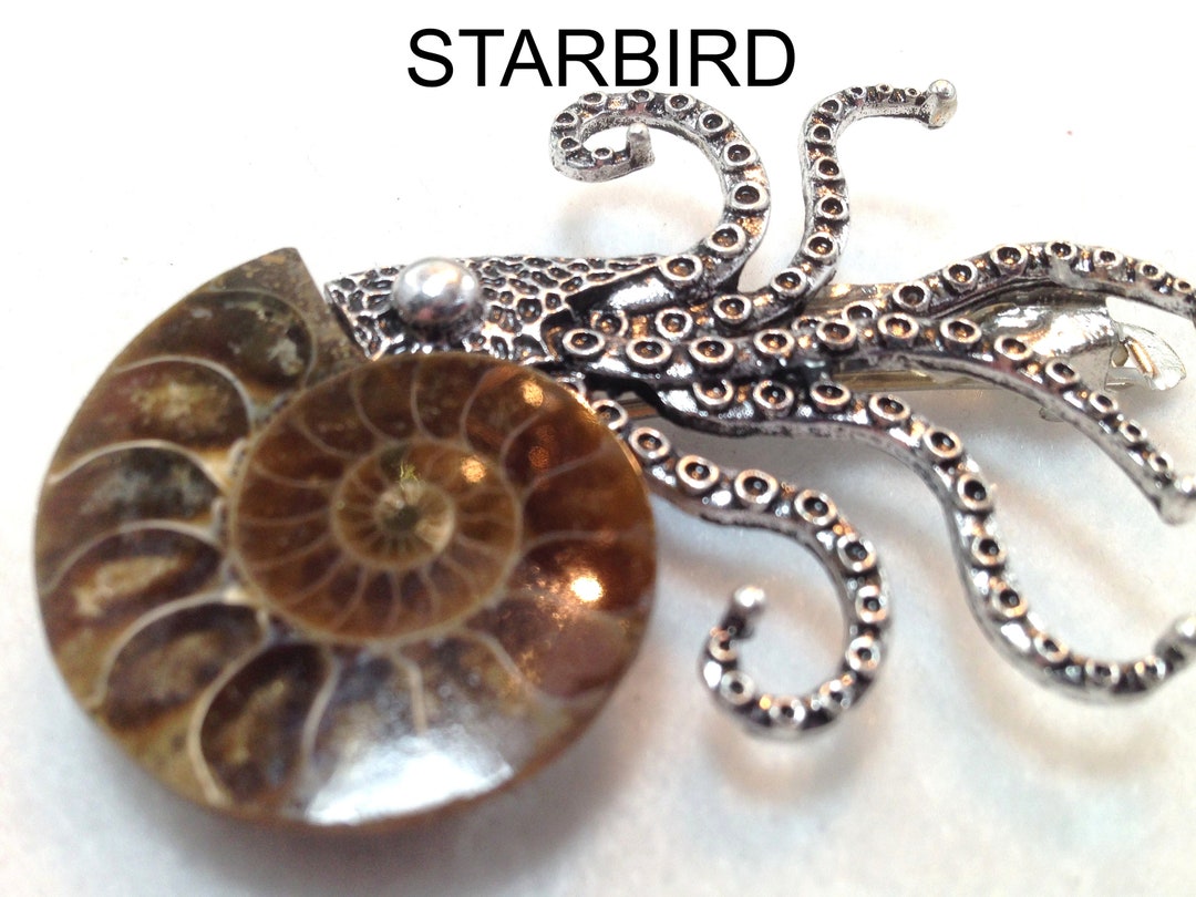 OCTOPUS Natural Conch Shell Fossil Barrette or Brooch Pin - Etsy