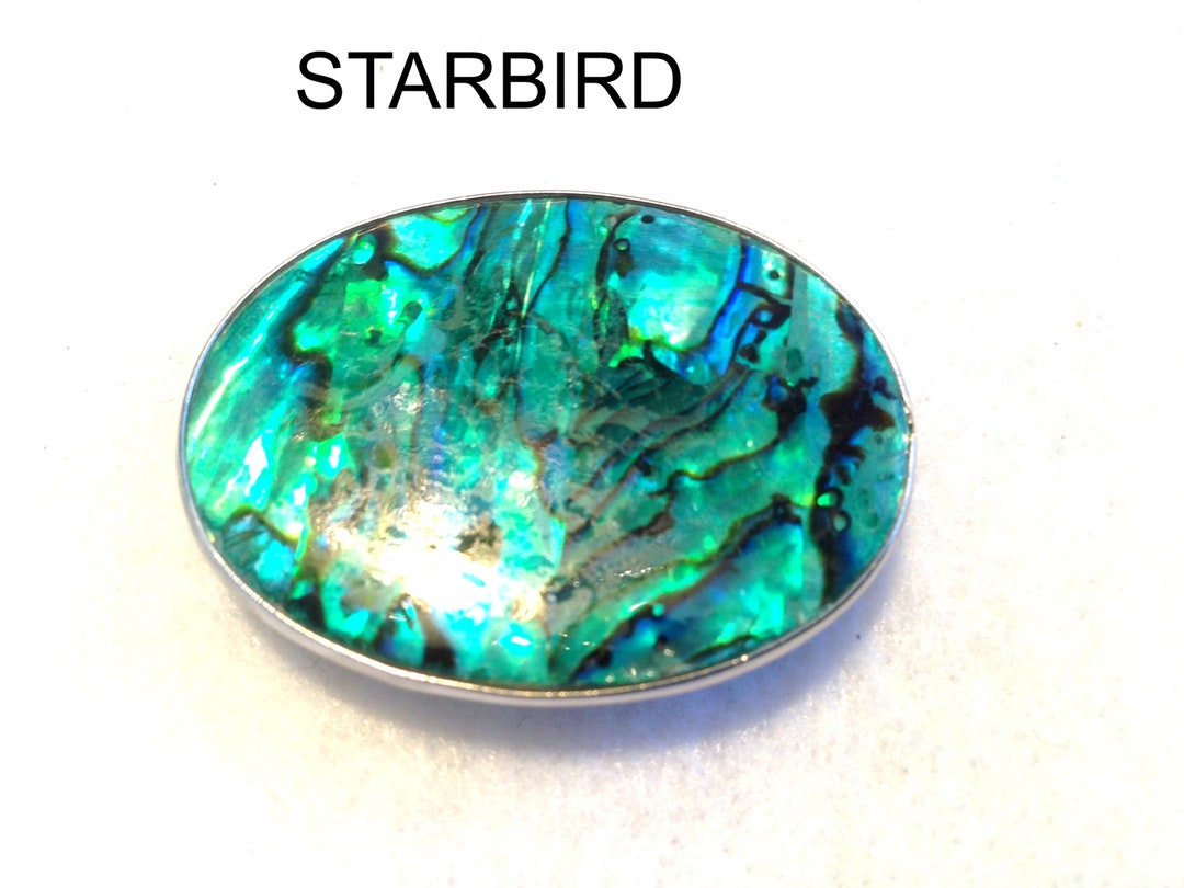 Abalone Paua Sea Shell Inlay Hair Barrette - Etsy