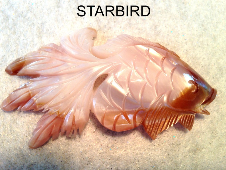 Pink Carved Fish Mother of Pearl Pink Clam Sea Shell Hair Barrette - Etsy