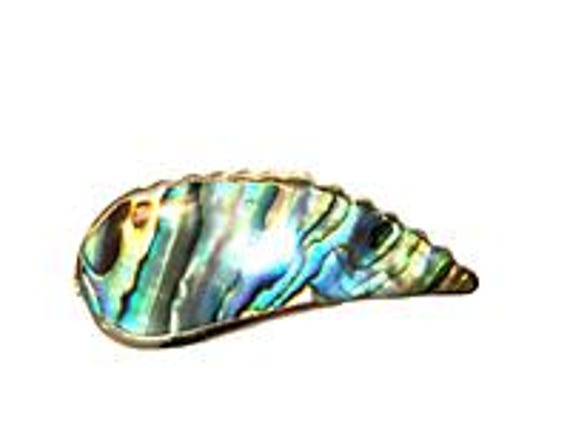 Abalone Paua sea shell inlay leaf hair barrette or ne… - Gem