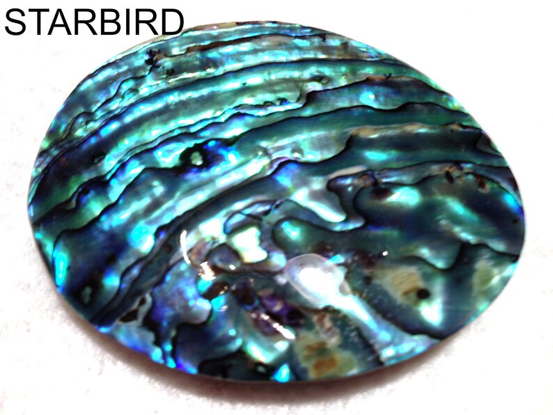 Abalone Paua Sea Shell Hair Barrette - Etsy