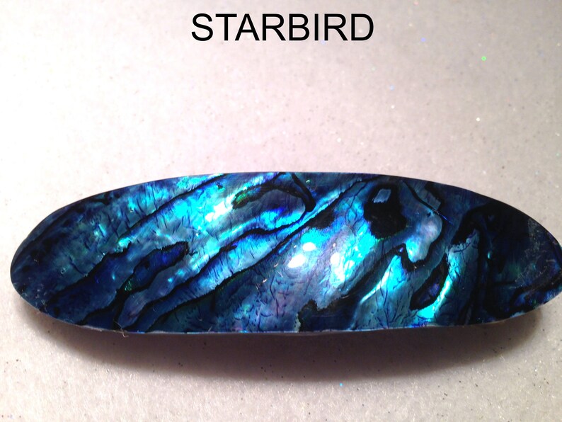 Abalone paua sea shell hair barrette | Etsy