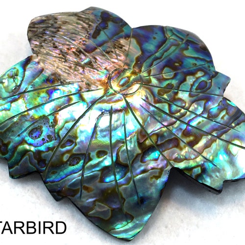 Abalone Paua Sea Shell Hair Barrette - Etsy