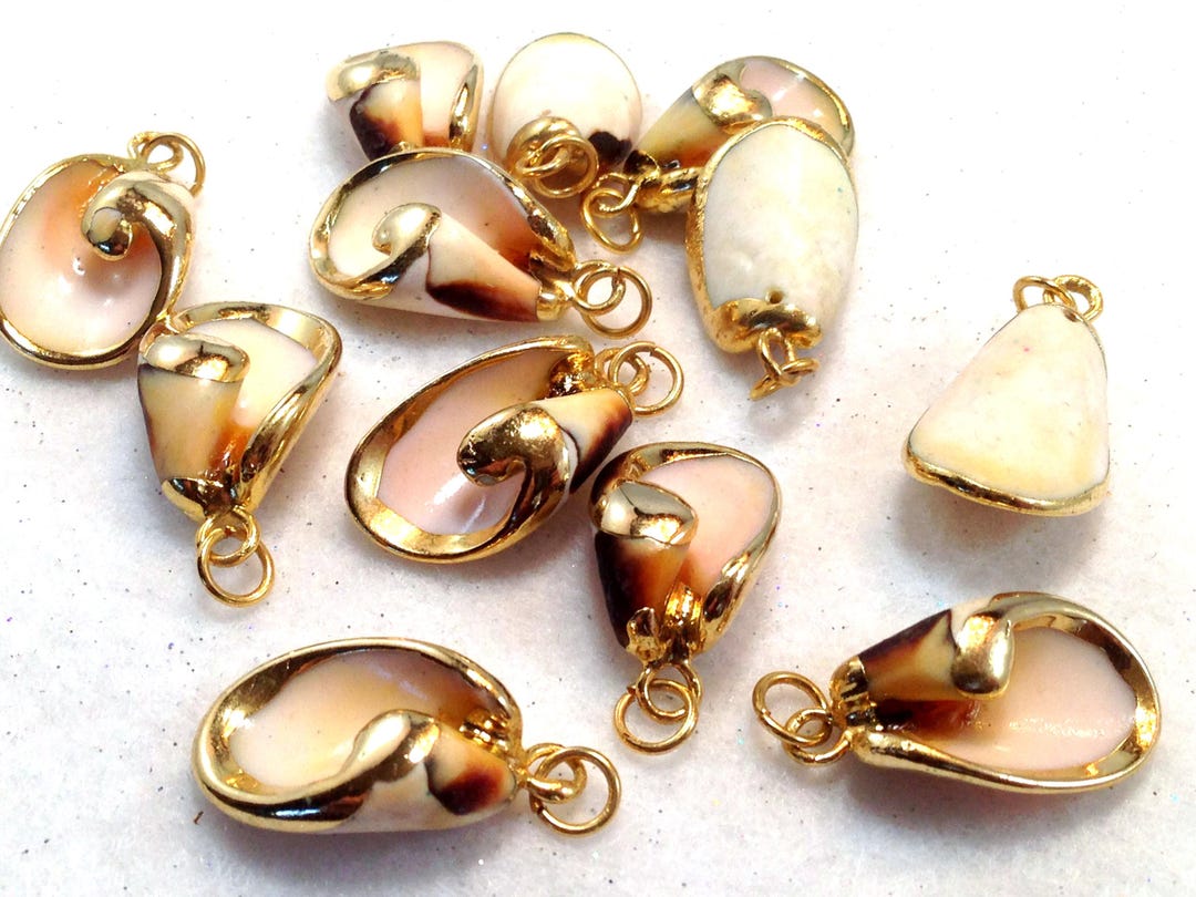 24K Gold Plated #1 Seashell Charms - Etsy