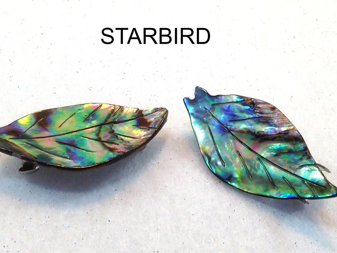 Abalone, Paua Sea Shell Hair Barrette - Etsy