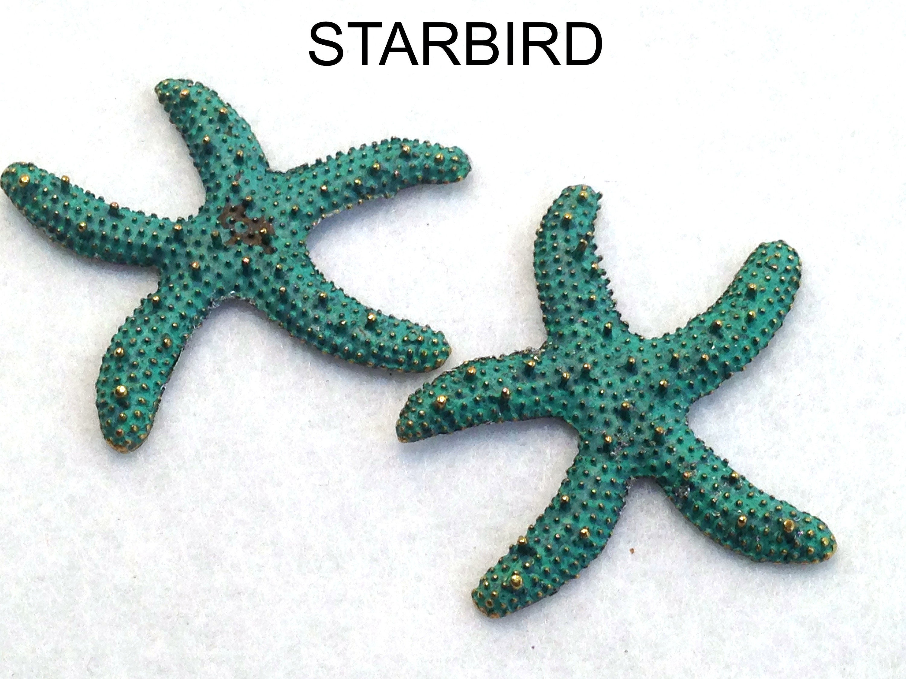Starfish Hair Barrette, 1 Pair - Etsy