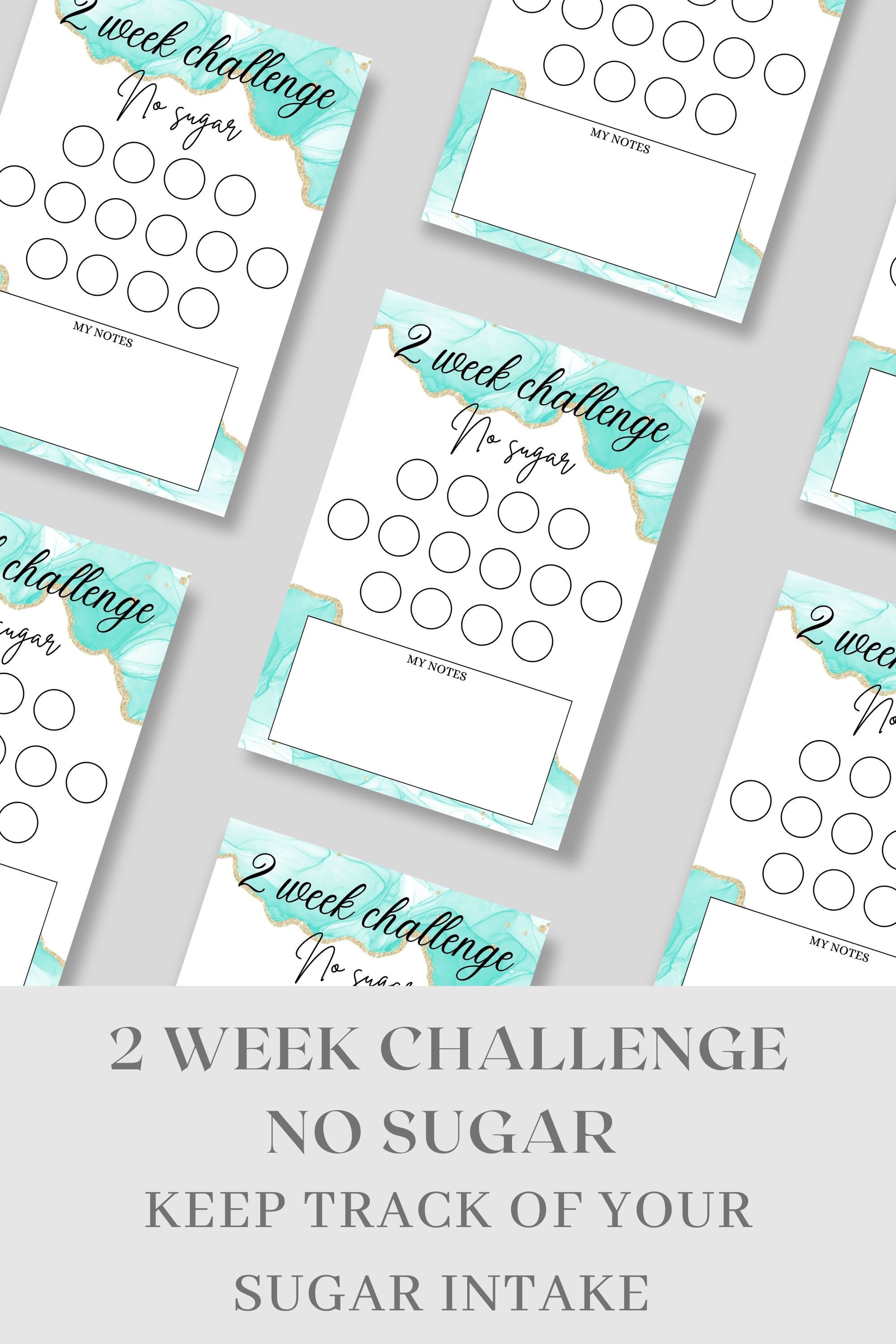 Planner Template Two Week Sugar Challenge Pdf Printable A4 , Digital ...