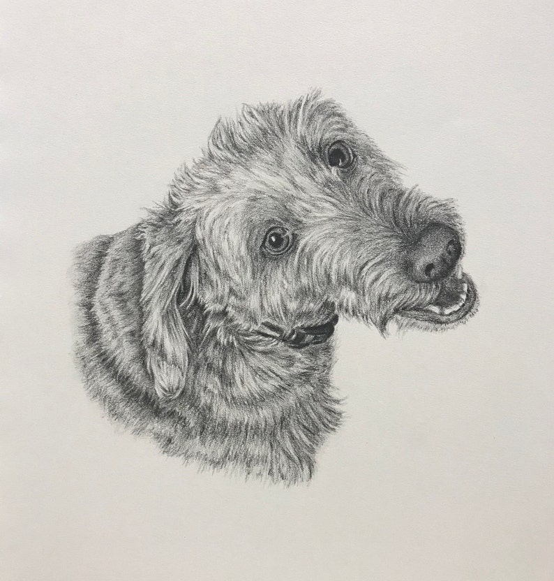 Pet Portrait Pencil Drawings Original Graphite Portraits | Etsy