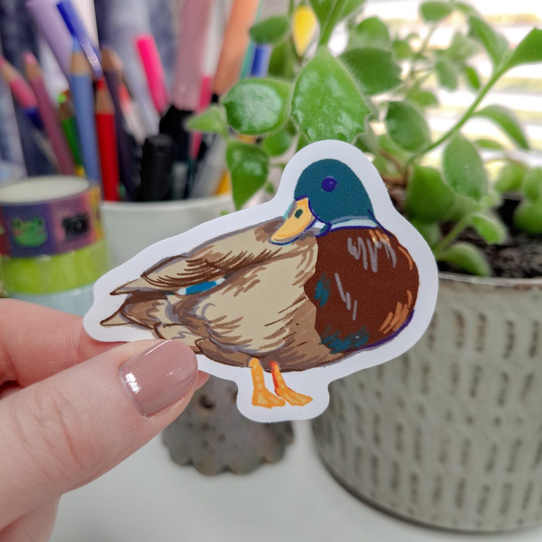 Duck Sticker | Mallard Duck Vinyl Sticker, Cute Duck Sticker, Male ...
