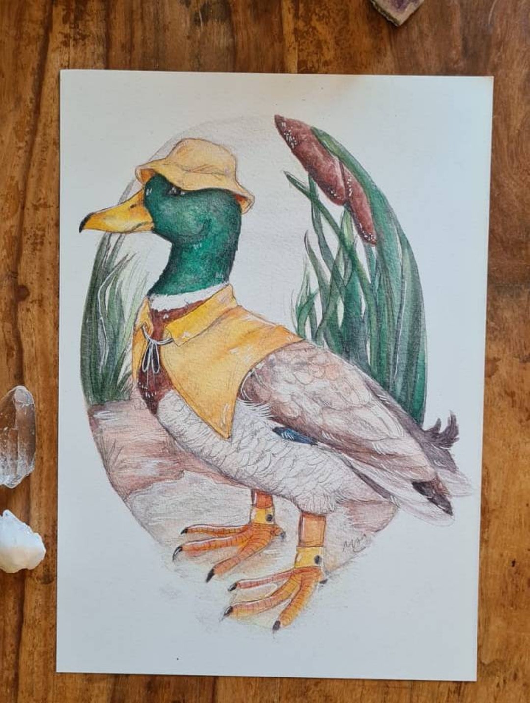 Rainy Day Duck Mallard Drake British Birds Ducks Raincoat Cute Funny ...