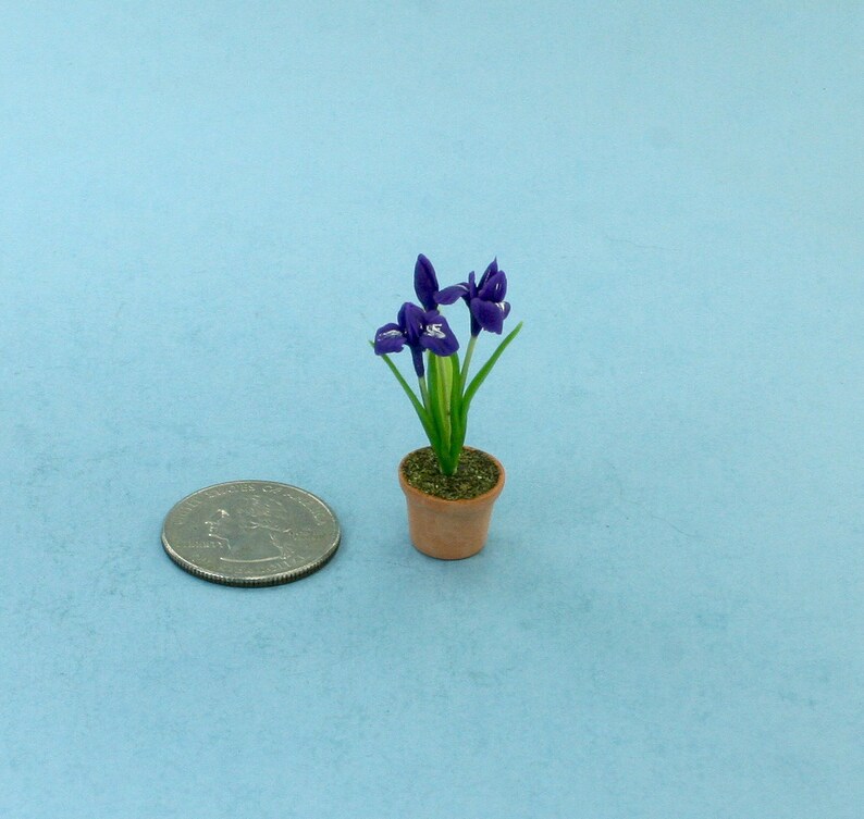 Beautifully Crafted Dollhouse Miniature Potted Purple Iris Flowers in a ...