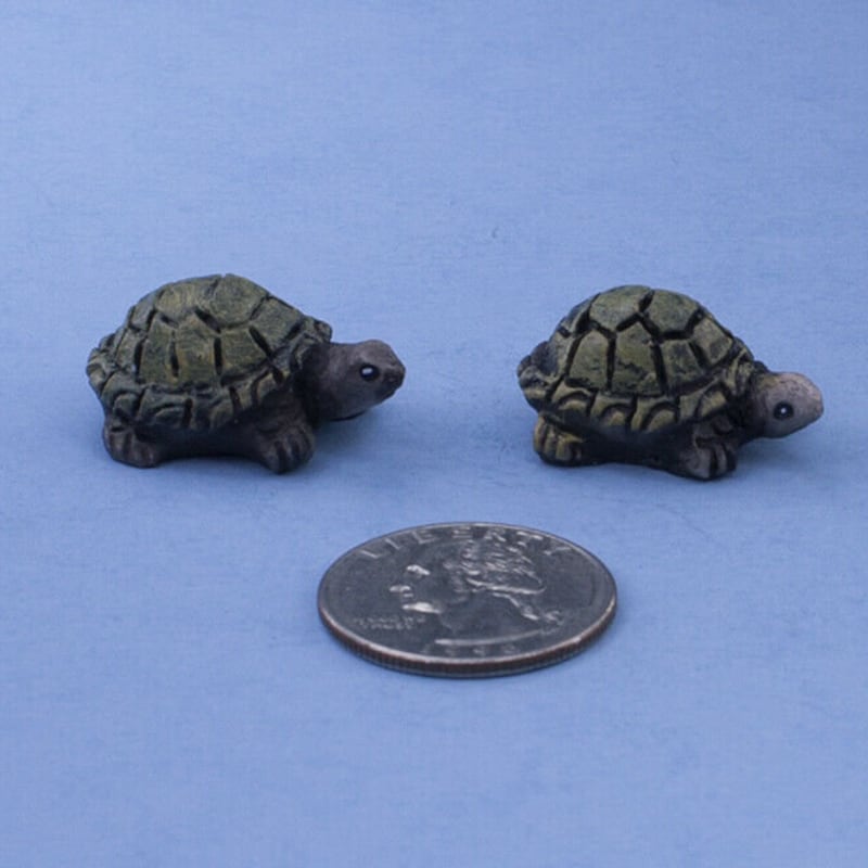 Miniature Turtles - Etsy