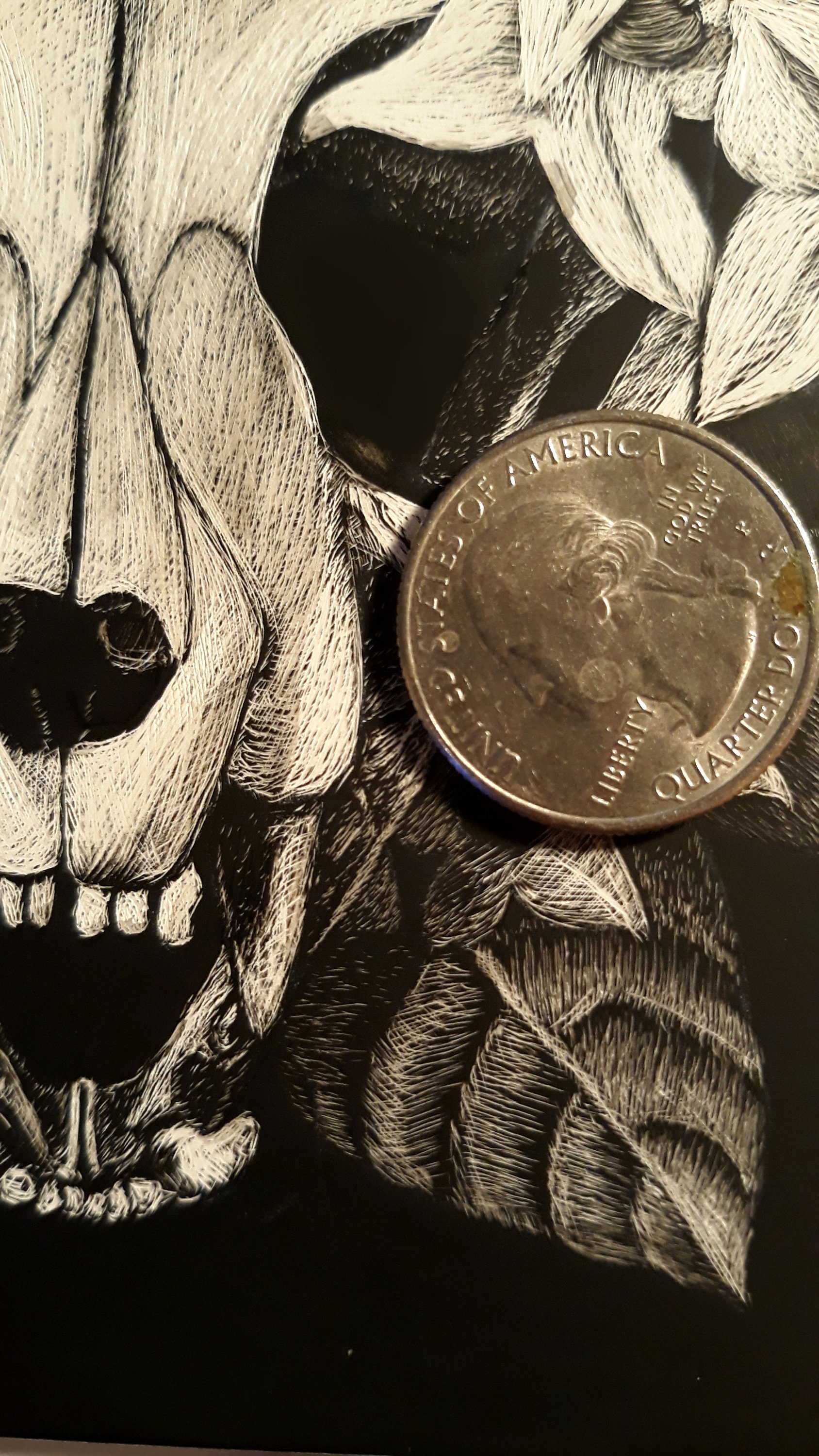 Cat Skull 5x5 Original Scratchboard Art | Etsy