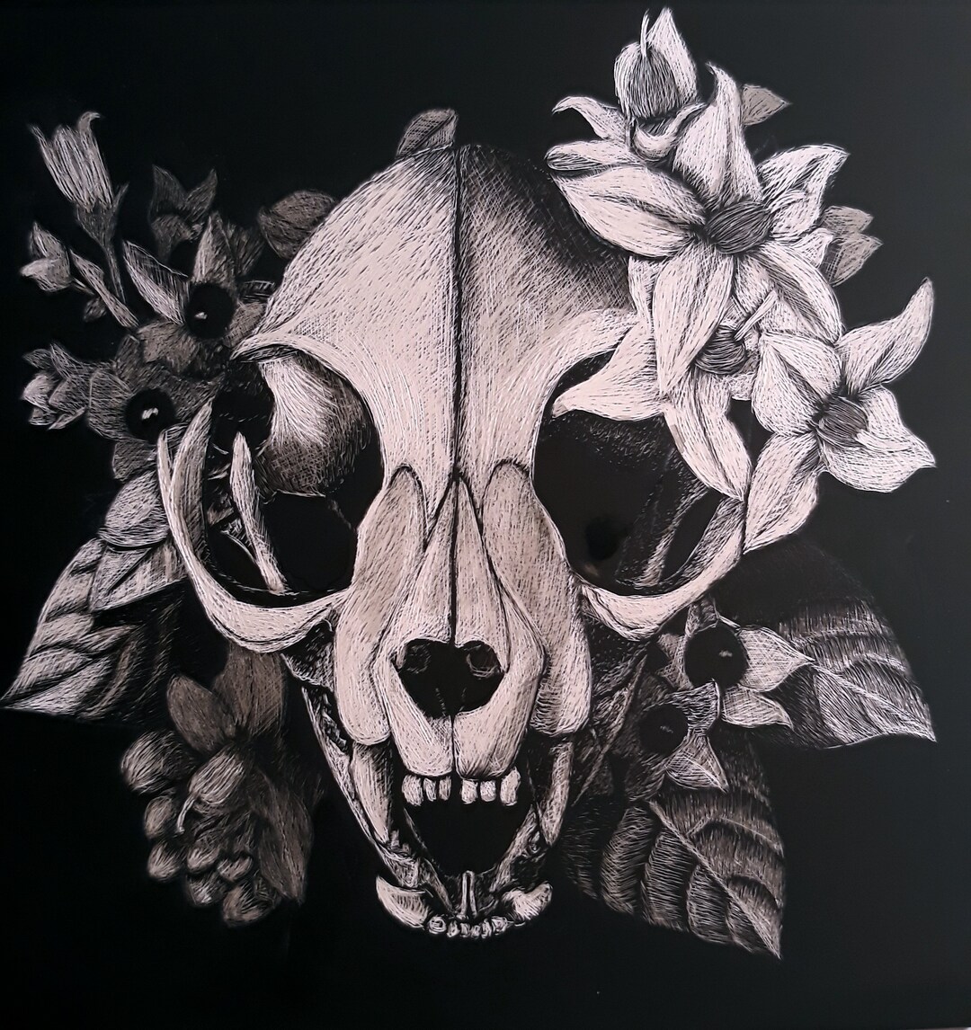 Cat Skull 8x8 Print - Etsy