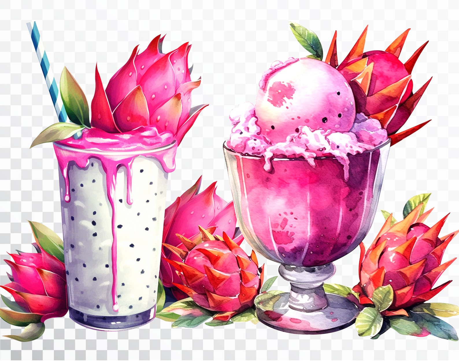 25 PNG Dragon Fruit / Tropical Summer Food Digital File / Summertime ...