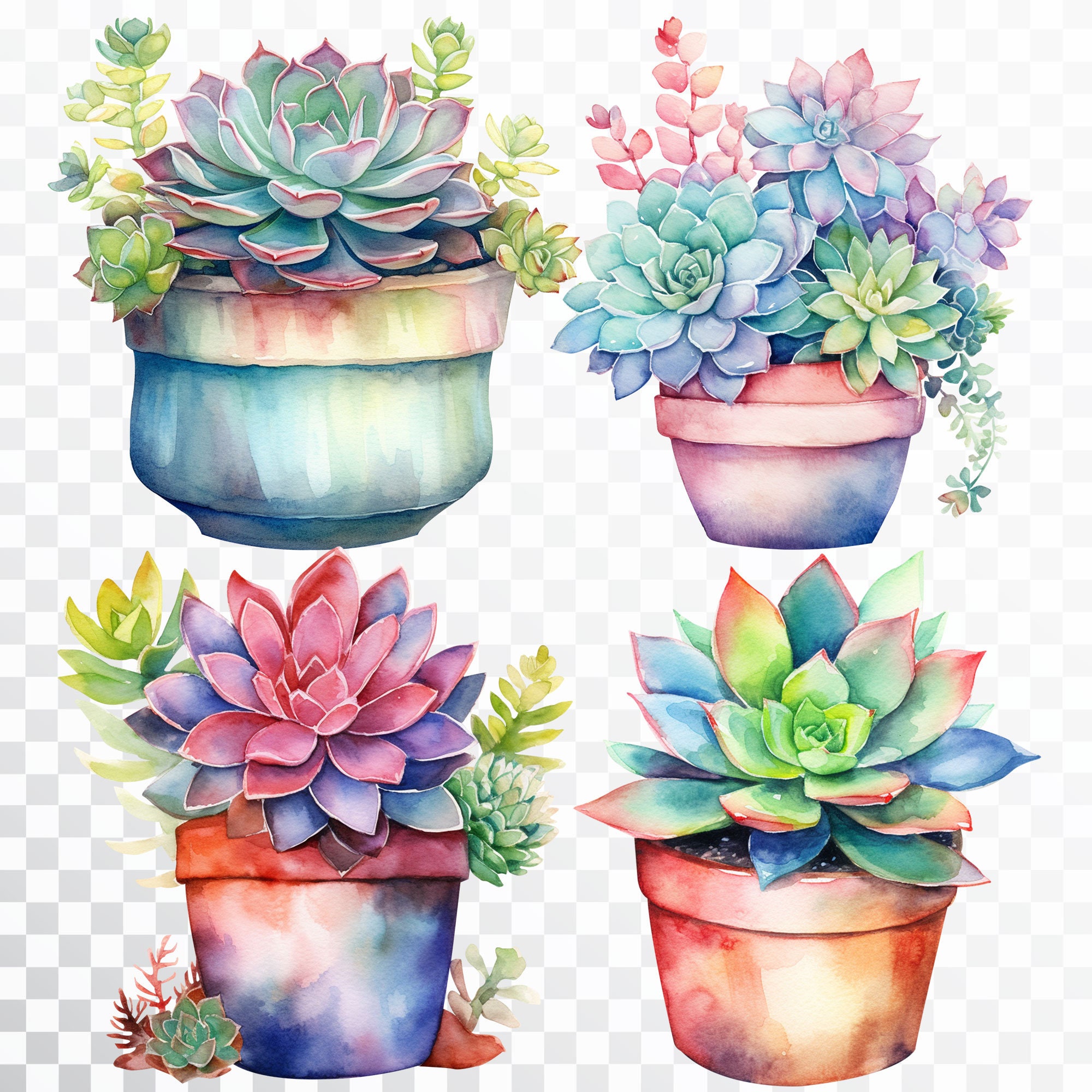 30 PNG Watercolor Succulent / House Plant Lover Digital Bundle ...