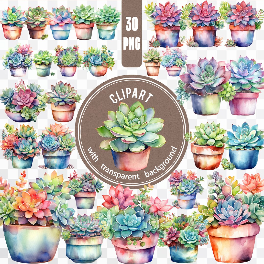 30 PNG Watercolor Succulent / House Plant Lover Digital Bundle ...