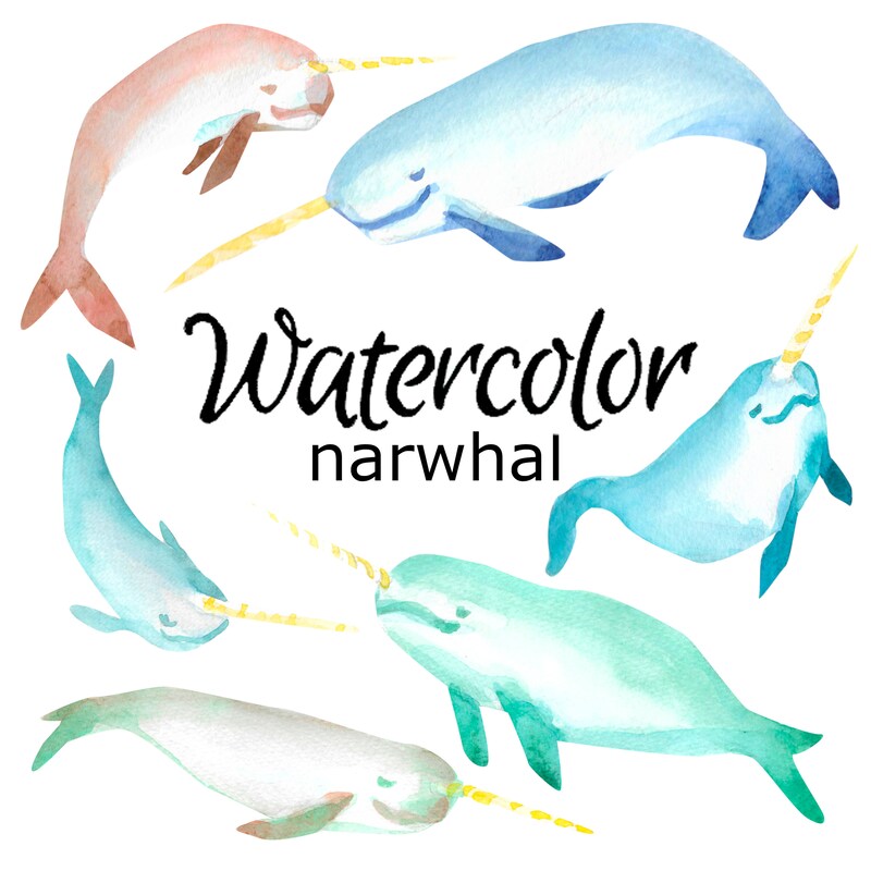Narwhal Clip Art - Etsy