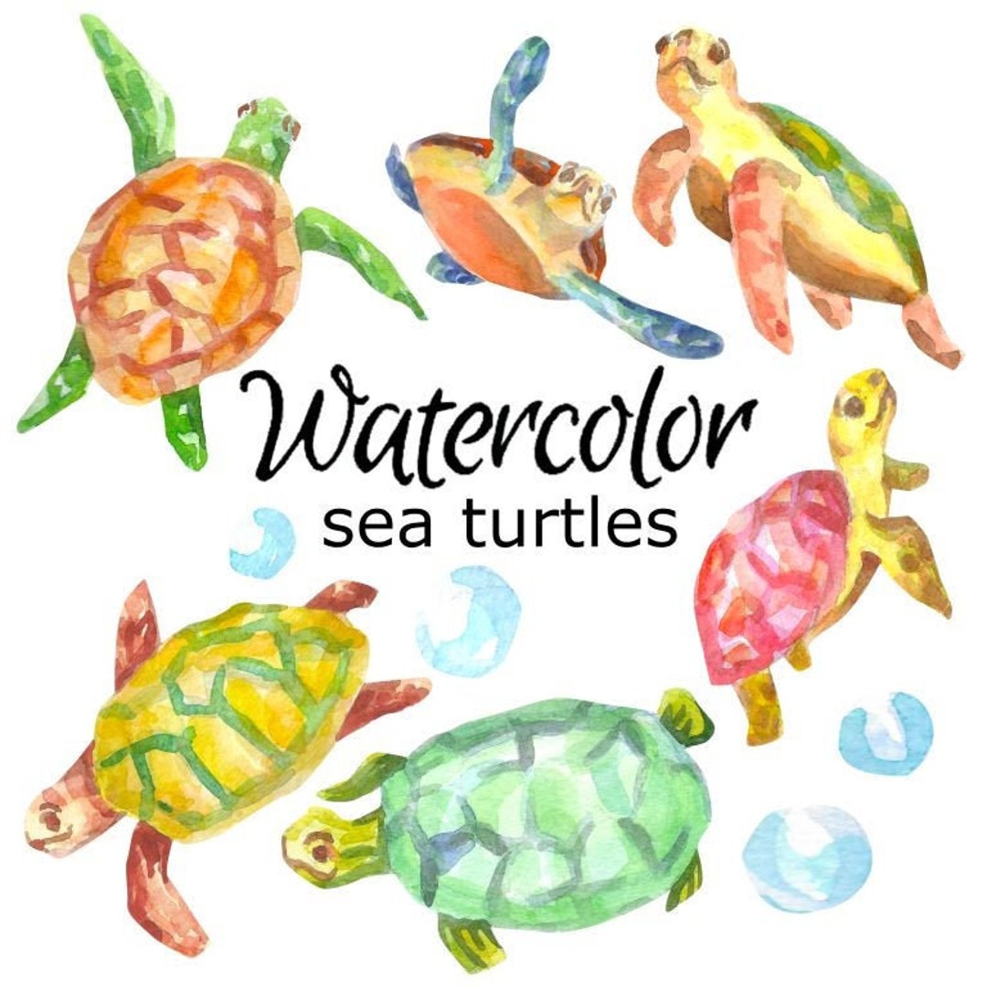 WATERCOLOR CLIPART, Sea Turtles Clip Art Nature Scrapbooking Ocean ...