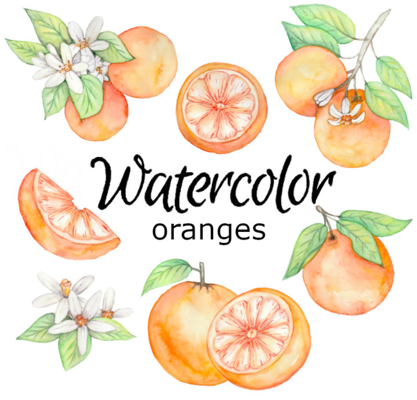 WATERCOLOR CLIPART Oranges Scrapbooking Kitchen Png - Etsy