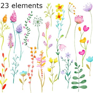 WATERCOLOR CLIPART Wildflowers Flowers Png Graphics Watercolour ...