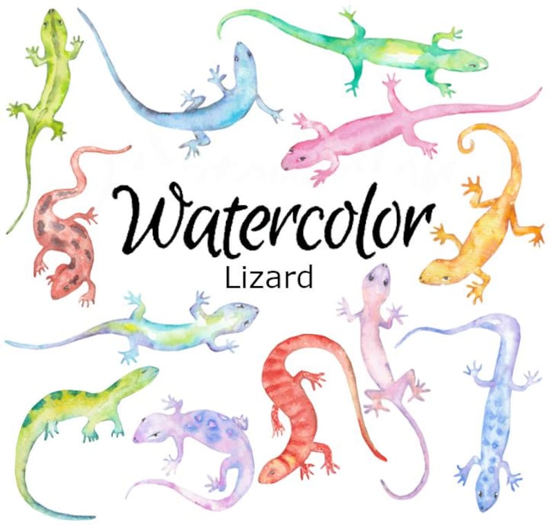 Watercolor Lizard Clipart Set: Tropical Reptile Illustrations (PNG, 600 ...