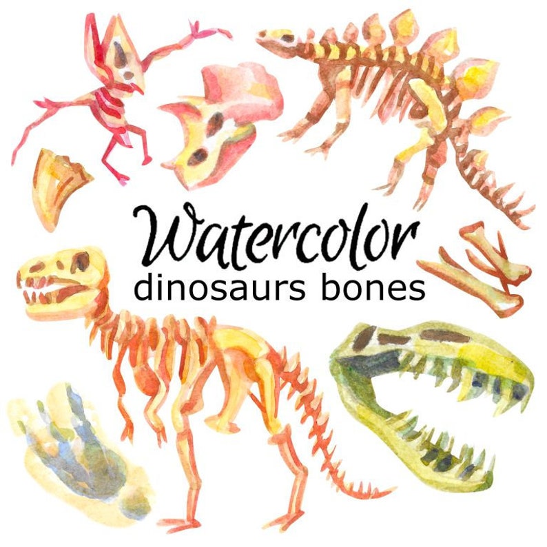 WATERCOLOR CLIPART Dinosaurs Bones Fossils Clip Art - Etsy