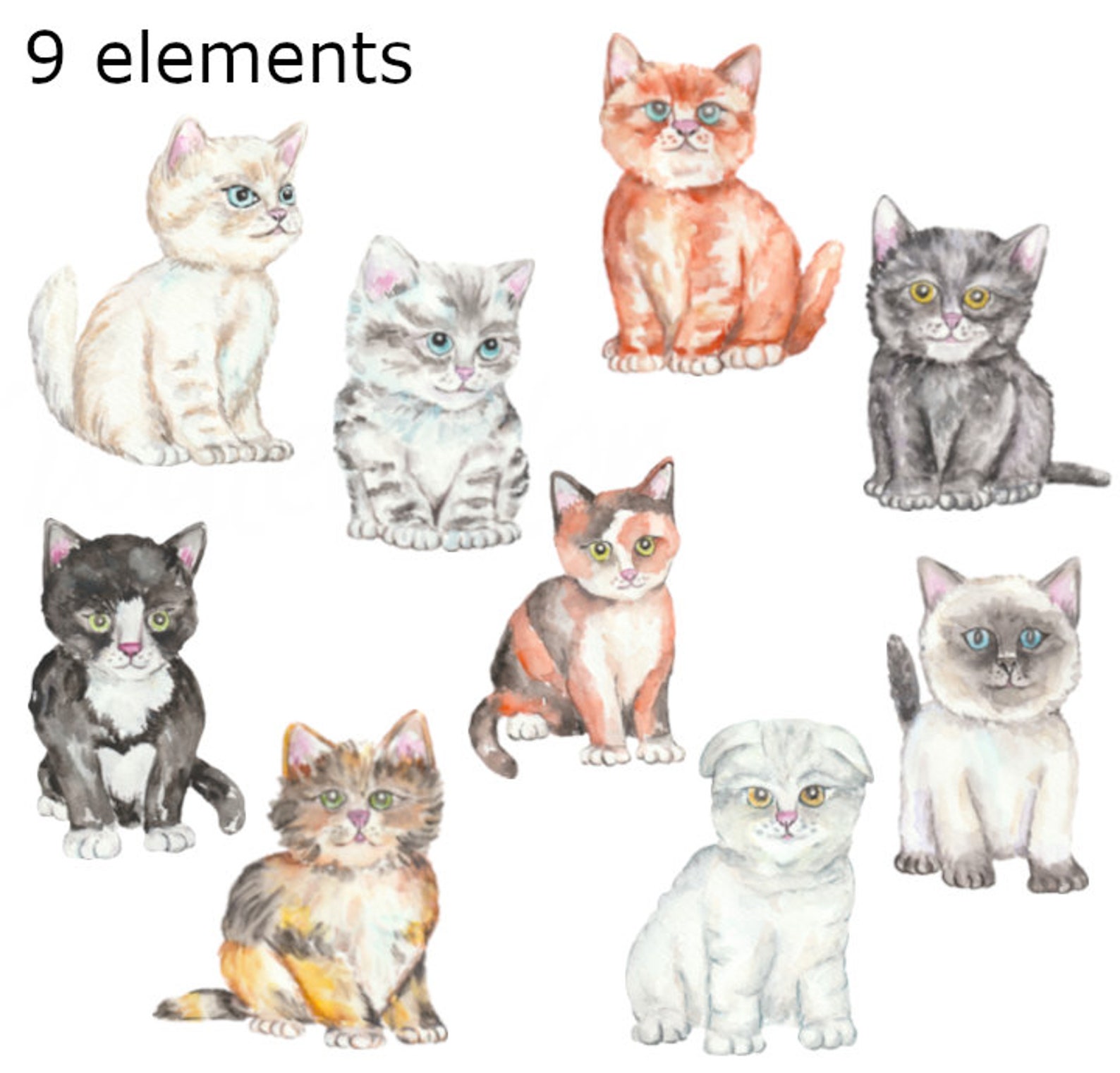 WATERCOLOR CLIPART Kittens Cat Clip Art Scrapbooking Png, Graphics ...