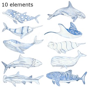 WATERCOLOR CLIPART, Blue Sharks and Whales Clip Art Nature Ocean ...