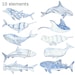 WATERCOLOR CLIPART, Blue Sharks and Whales Clip Art Nature Ocean ...